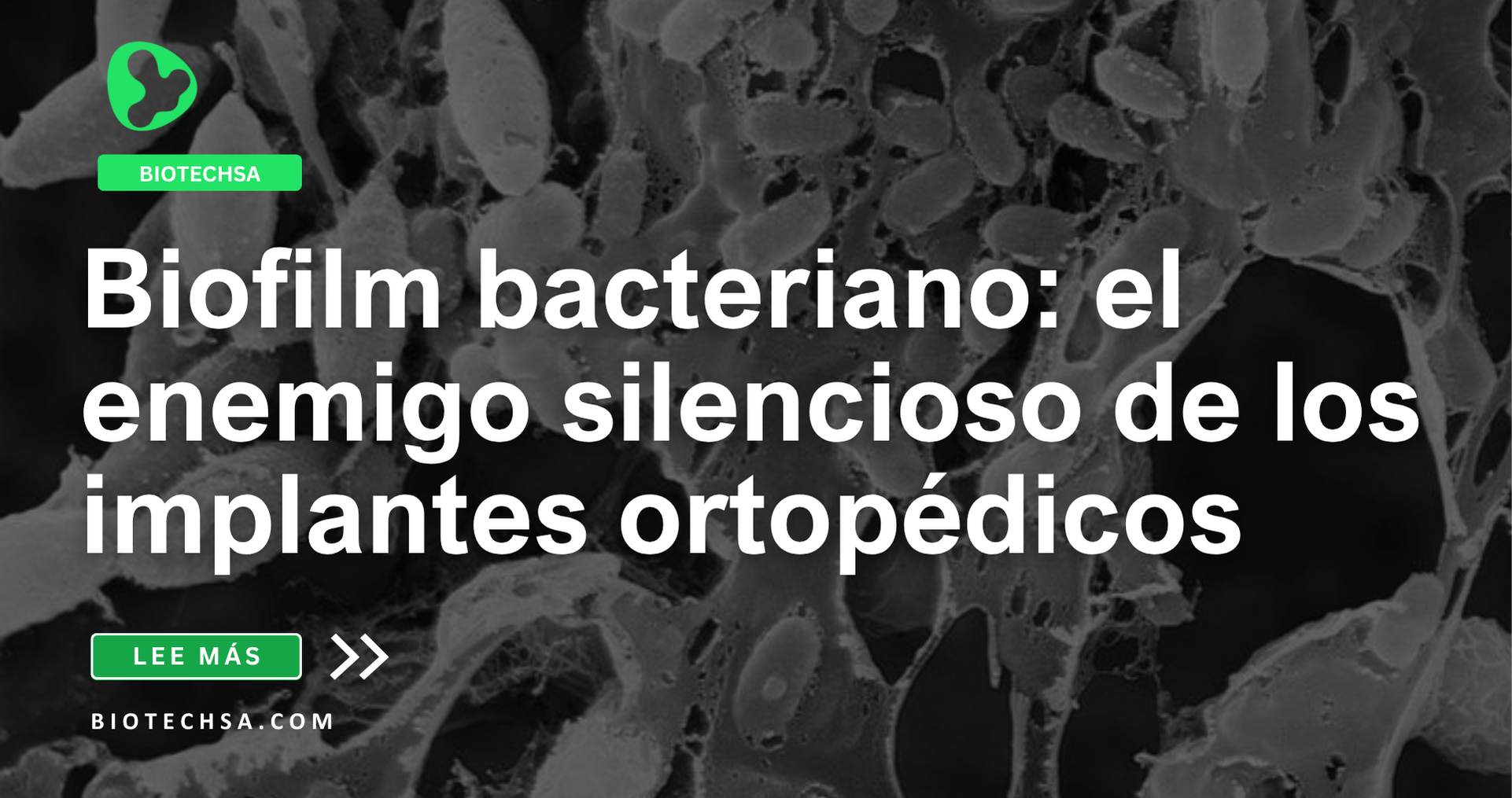 Biofilm bacteriano: el enemigo silencioso de los implantes ortopédicos ...