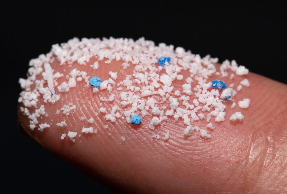 Cómo los microplásticos pueden interferir en la curación de heridas ...